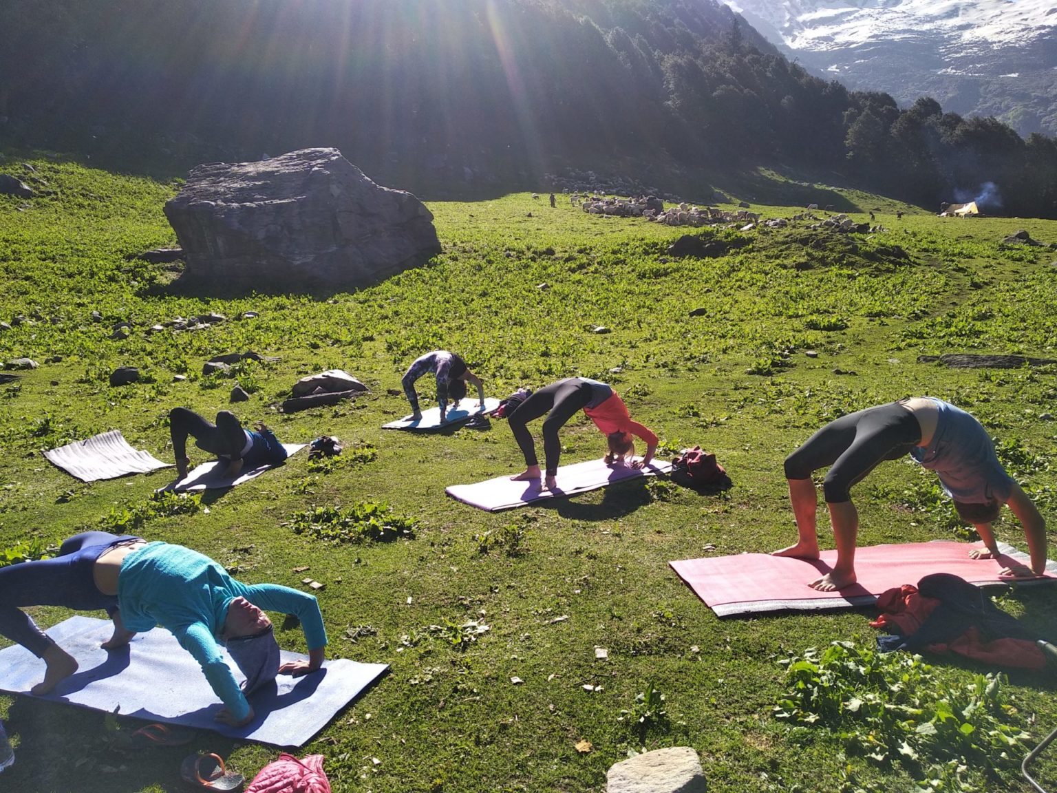 Himalaya Yoga Trekking in Indien - Chalo!Reisen